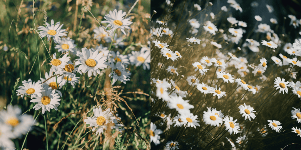 Can You Spot Which Pictures Are AI-Generated? 17 Challenging Examples ...